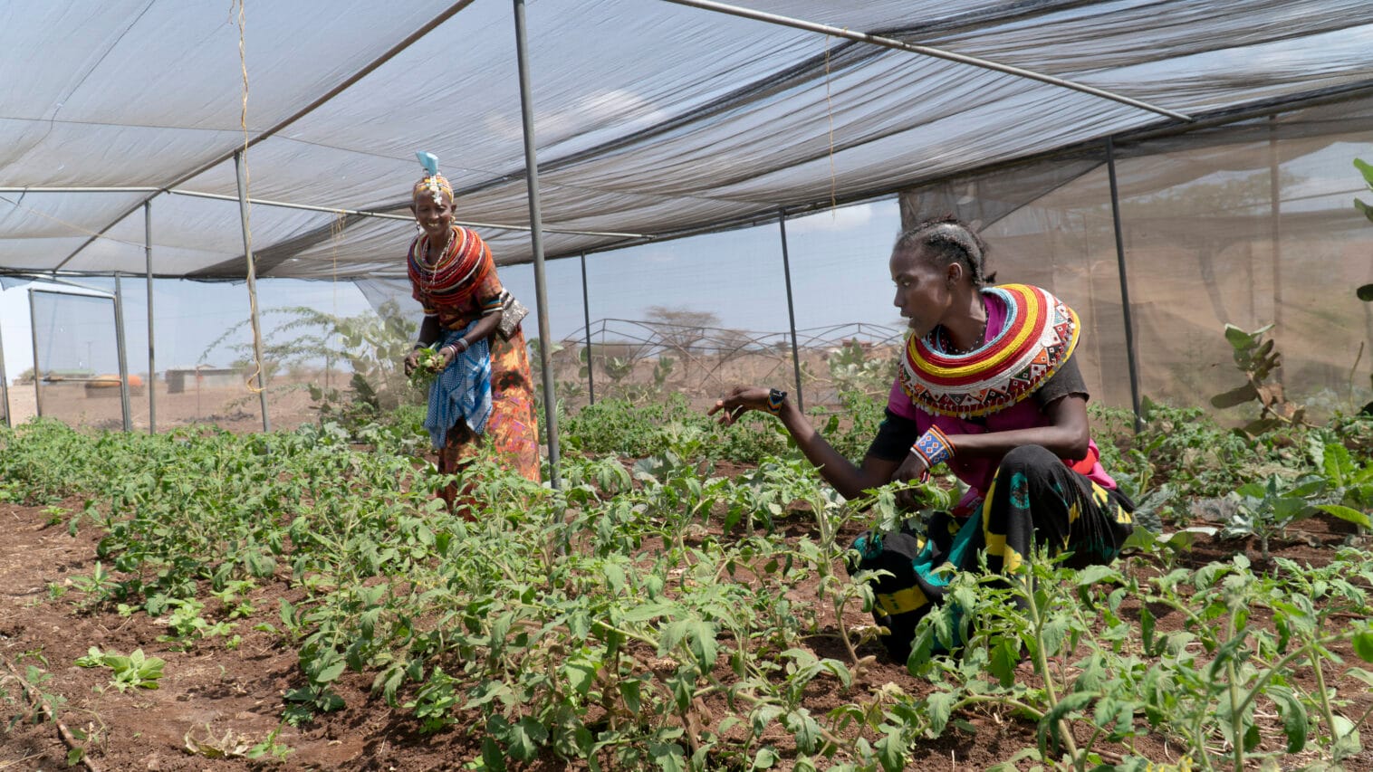 Development work in Kenya - Fida